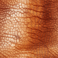 Brown Scaly Skin Seamless Texture - Photo #815 - Premium Textures ...