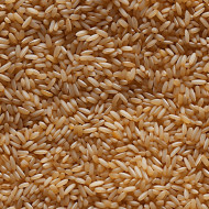 Grains of Rice Seamless Tileable Food - Photo #63 - Premium Textures ...